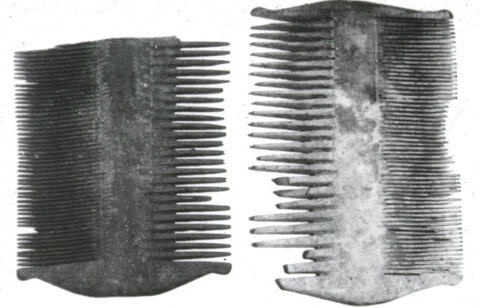 The History of the Fine Tooth Comb and Fine tooth Combing