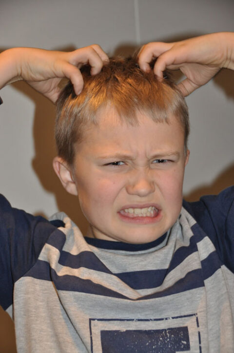 Symptoms - Liceworld